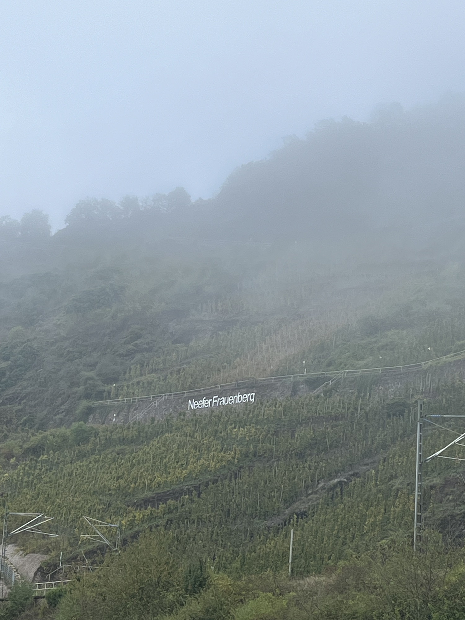 The Moselsteig – Day 14 – Neef to Ediger-Eller – Footsteps