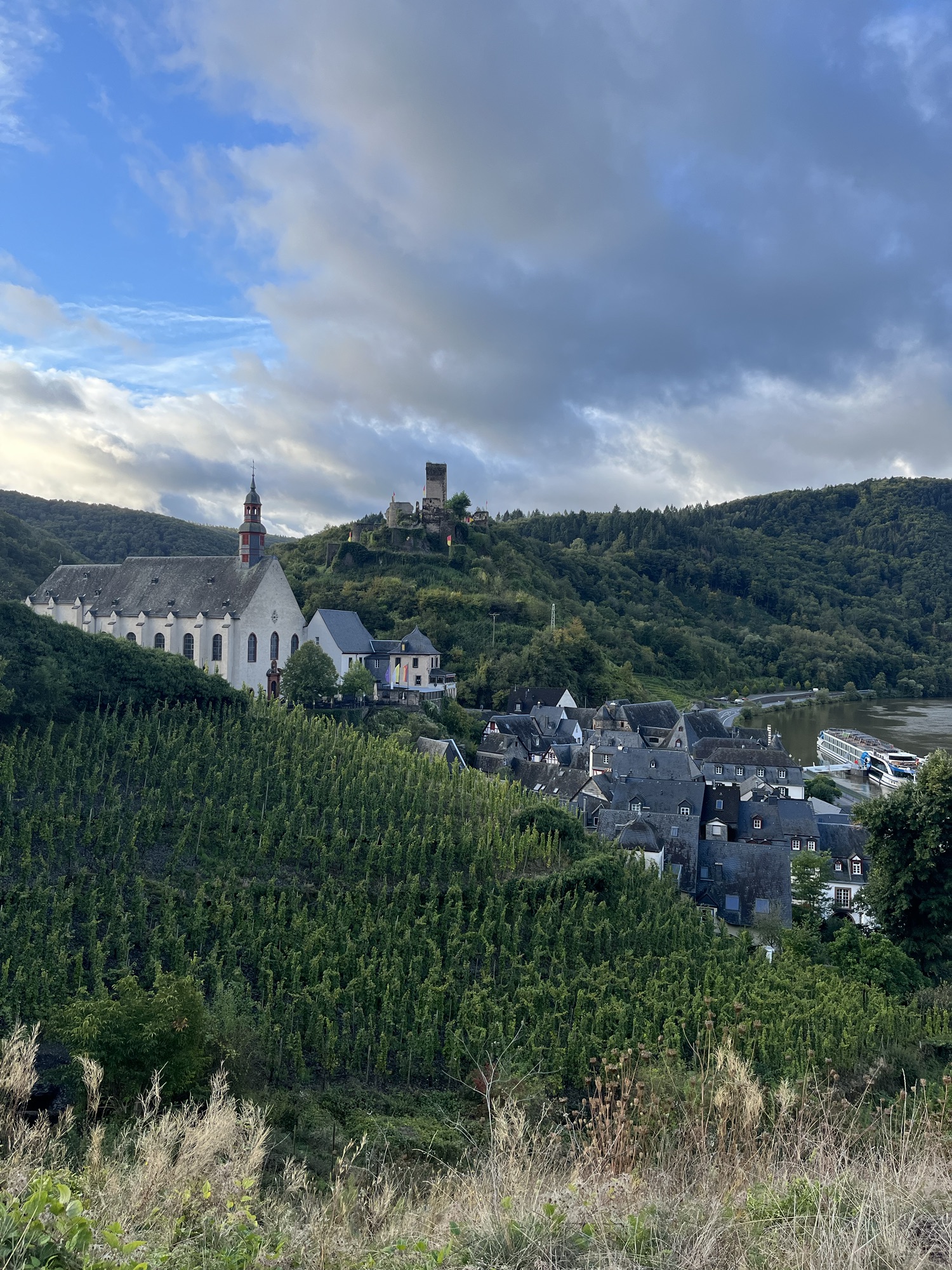 The Moselsteig – Day 16 – Beilstein to Cochem and Klotten – Footsteps